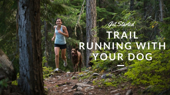 Get Started Trail Running With Your Dog – Embark Harness Co.