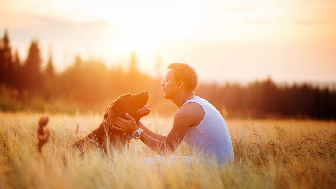 5 Essential Tips for a Happier, Healthier Pup – Embark Pets