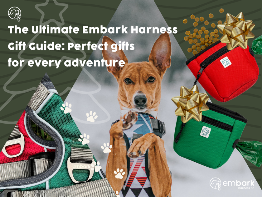 2025 EMBARK GIFT GUIDE: The Perfect Gift for Every Adventure – Embark ...