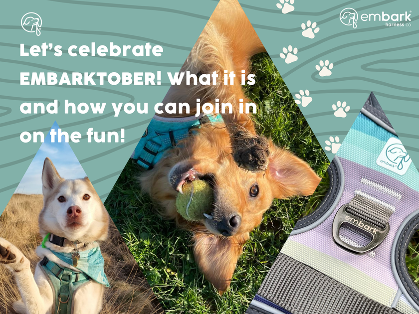 EMBARKTOBER!!! And National Adopt a Dog Month – Embark Harness Co.