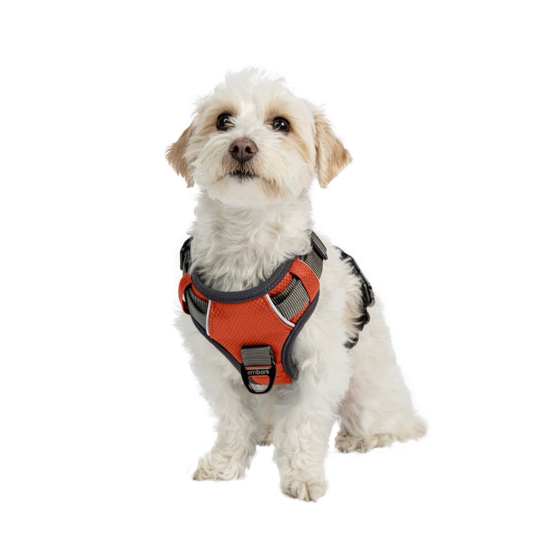 Shop Outdoor Dog Gear | Embark Pet Products – Embark Pets