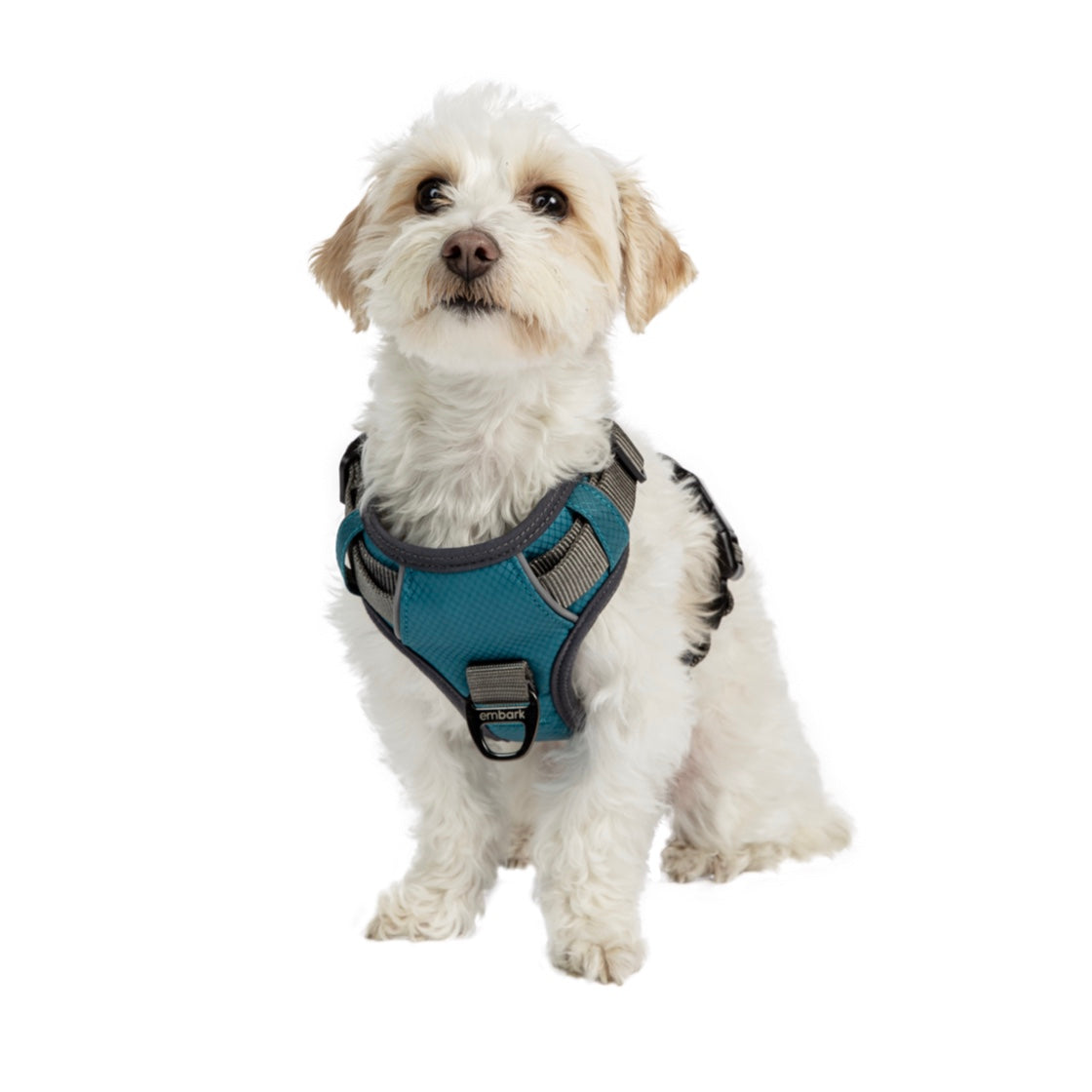 Shop Outdoor Dog Gear | Embark Pet Products – Embark Pets