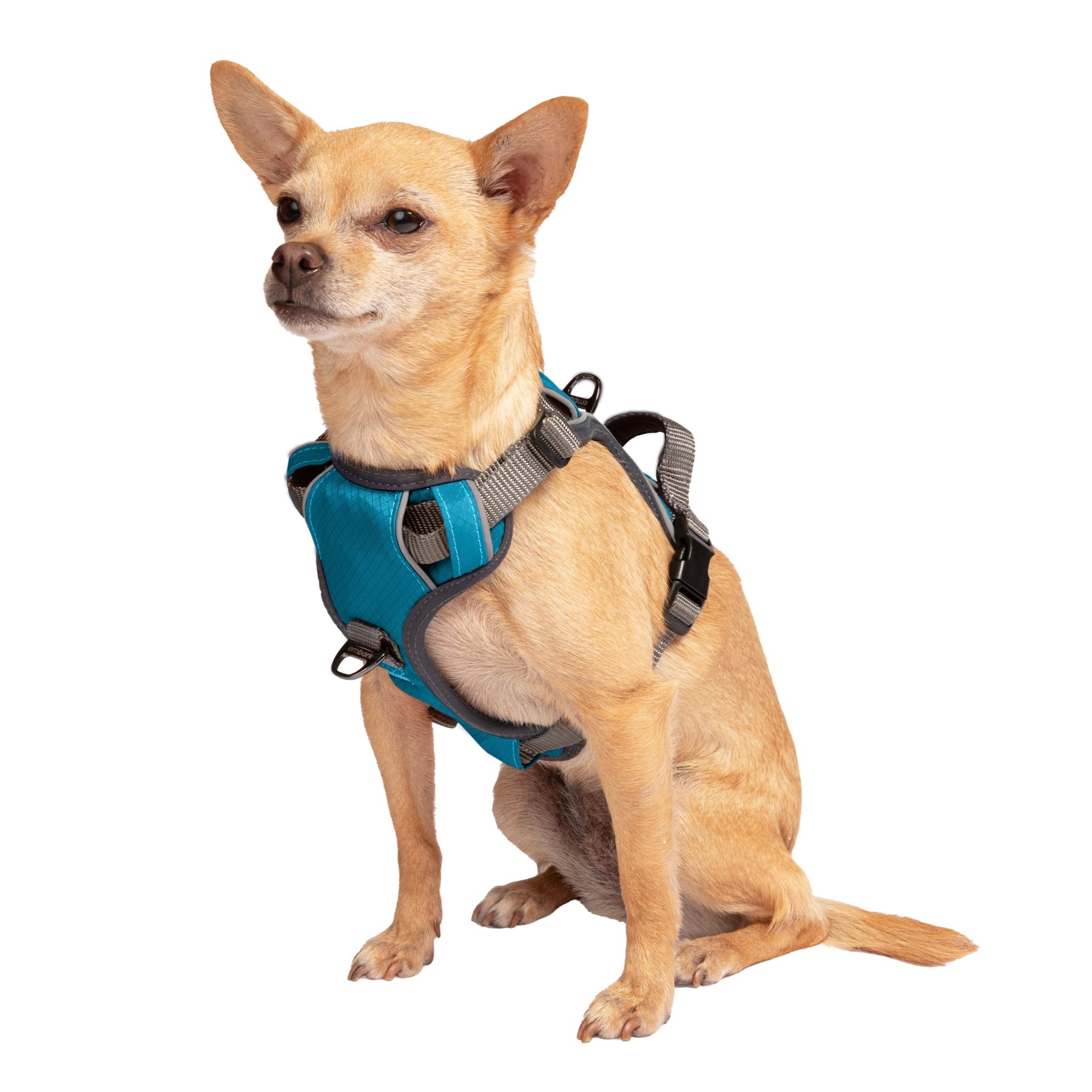 Shop Outdoor Dog Gear | Embark Pet Products – Embark Pets