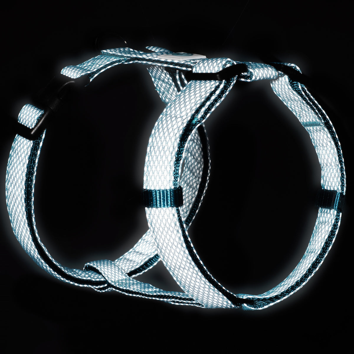 Illuminate Reflective Dog Harness – Embark Harness Co.