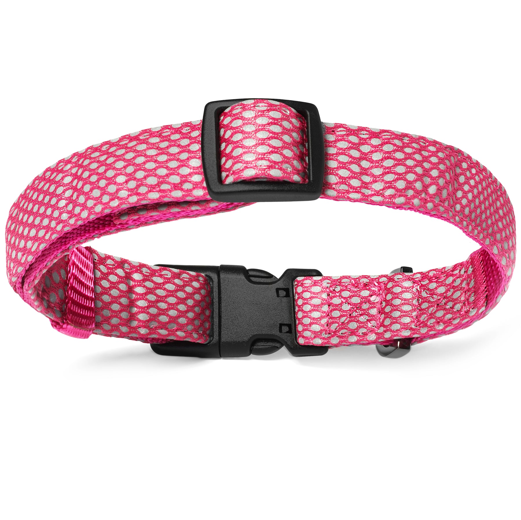 Illuminate Reflective Dog Collar – Embark Harness Co.