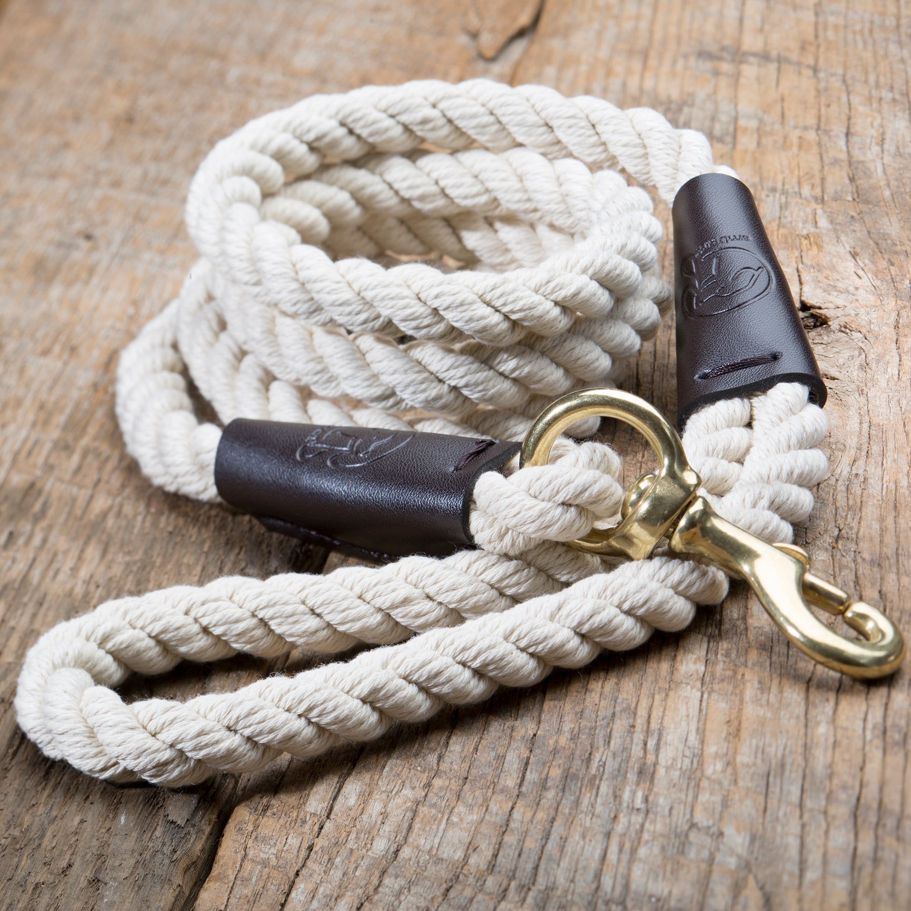 Leashes – Embark Pets