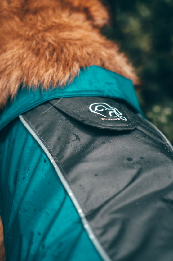 Products – Embark Pets